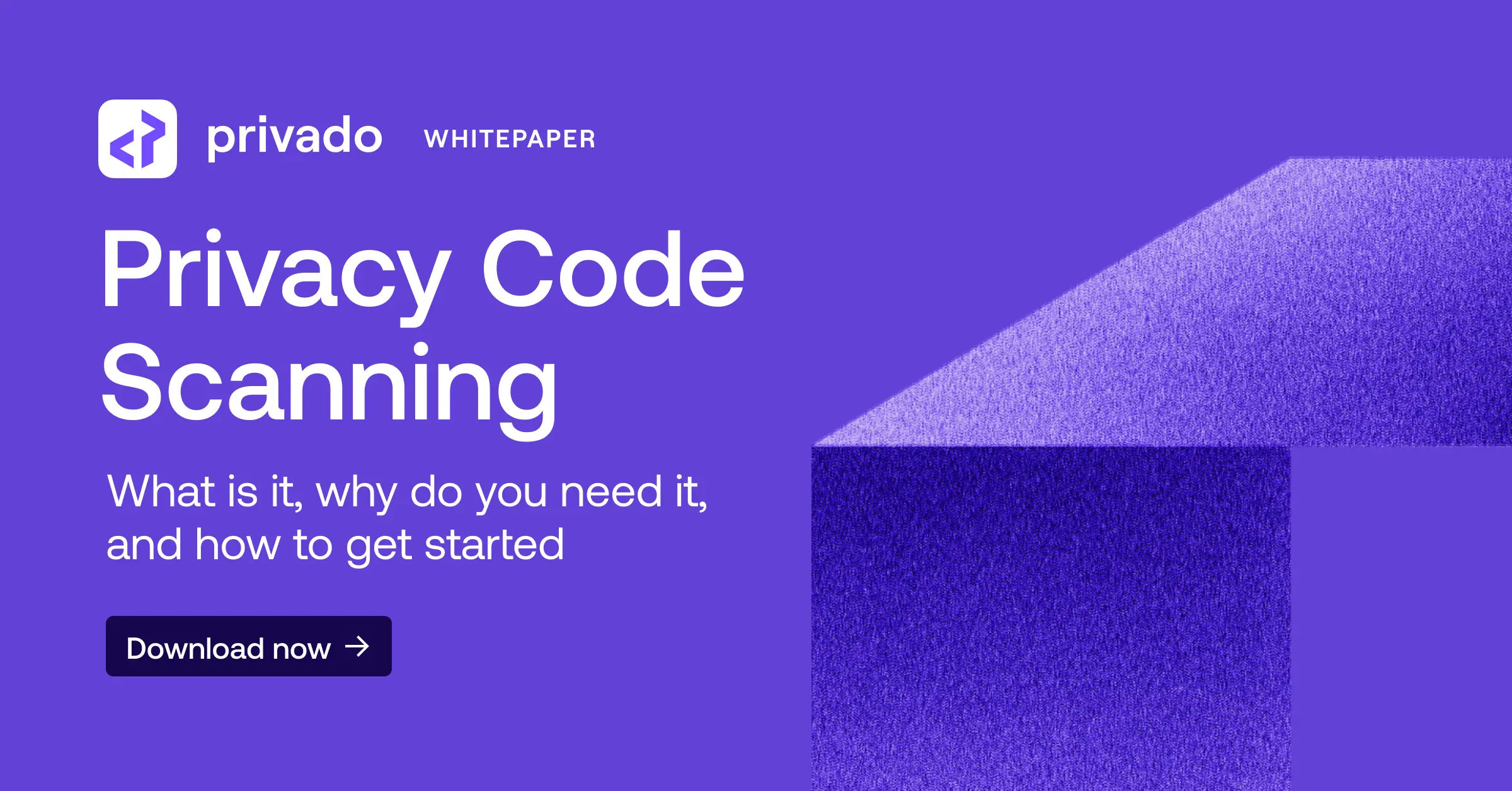 Privacy Code Scanning: A Guide | Privado